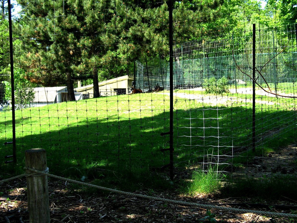 The 4 Main Types of Wire Mesh Fencing Materials