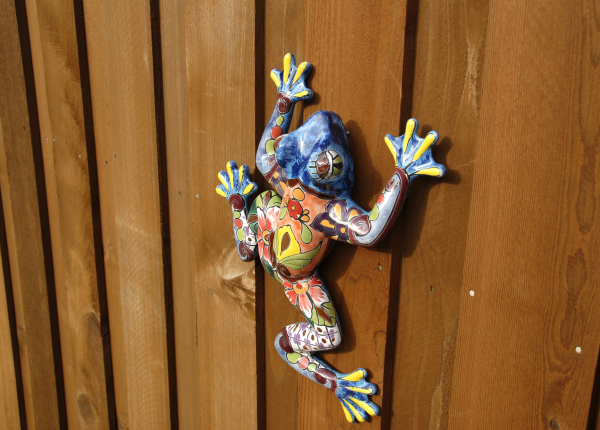 What is a Frog Fence?