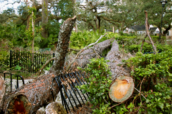 How to Repair Your Broken Fence