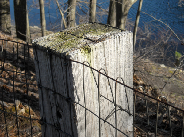 Wire Mesh For Railing Safety