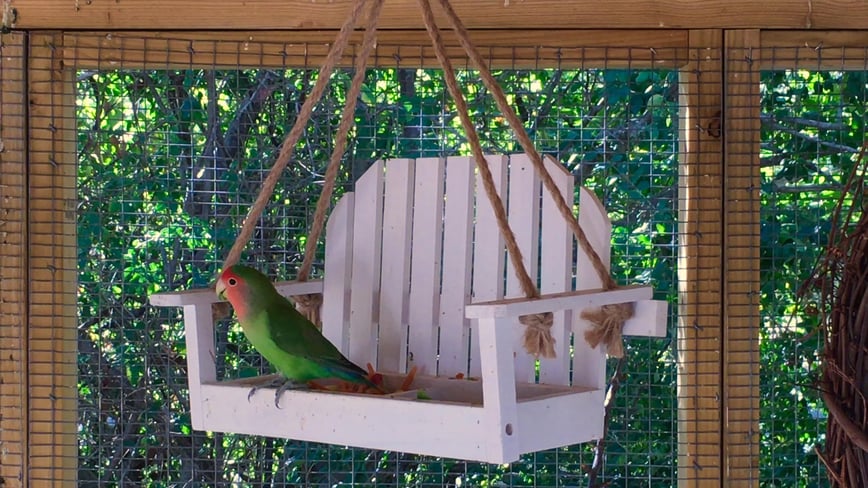 Wire & Plastic Fence & Mesh for Birds
