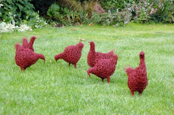 Chicken Wire Arts and Crafts: A Pictorial Gallery