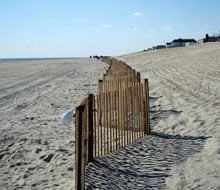 Sand and Beach Preservation Fence