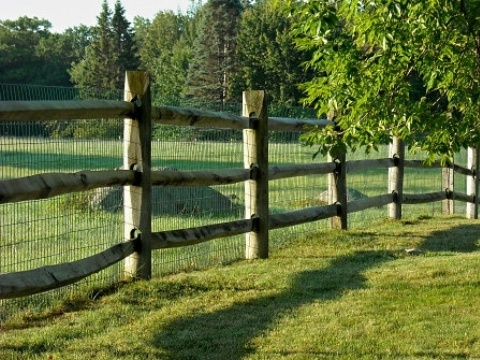 What You Need to Know About Yard Gard Fencing